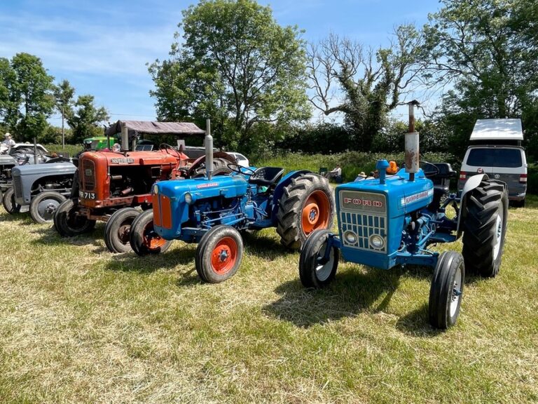 Spetisbury Country Day 2025 – inDorset