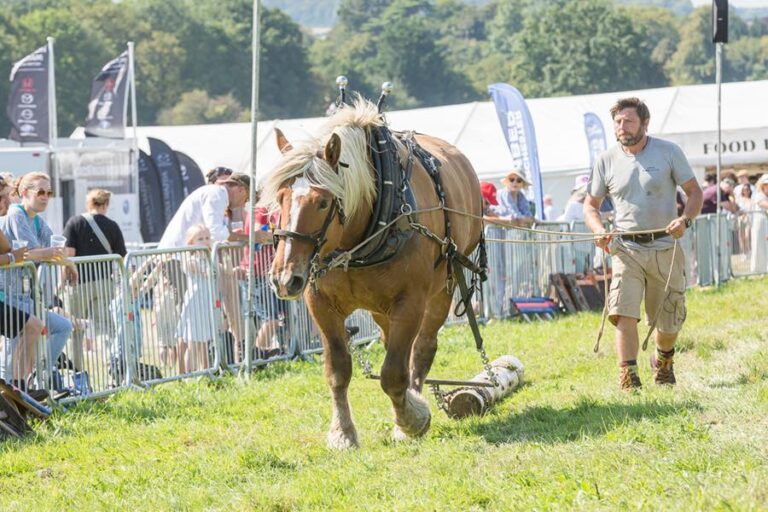 Dorset Spring Show – inDorset