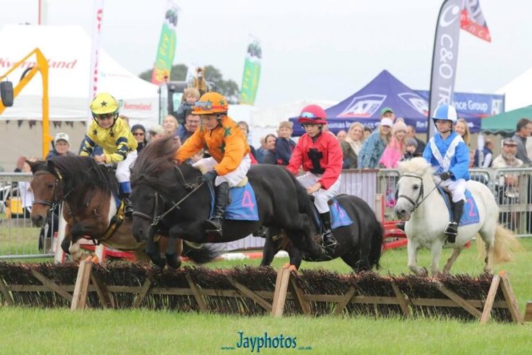 Dorset Spring Show – inDorset