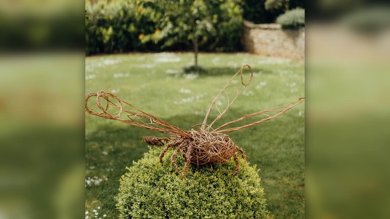 Willow Dragonfly Workshop with Jo Sadler 2025 – inDorset