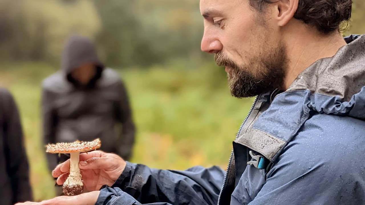 Mushroom Foraging Walk with Nick Phillips 2025 – inDorset