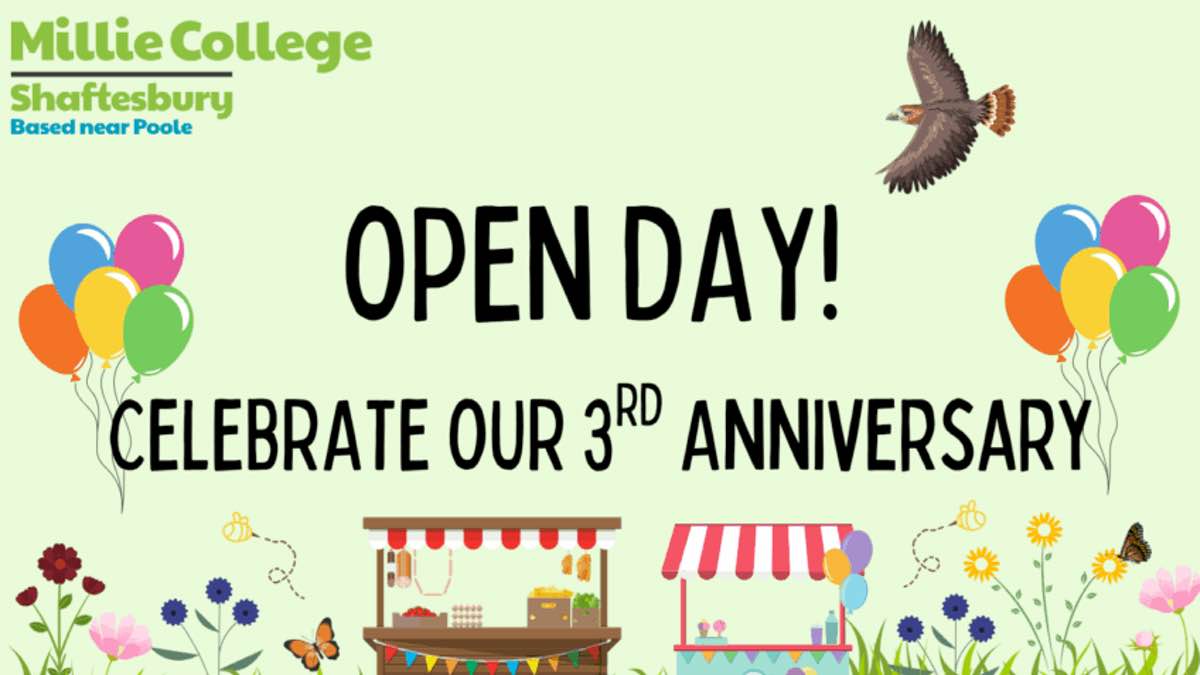 Millie College Celebration Open Day @ Holton Lee – inDorset
